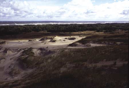 Chapter 1: The Danish support for improving the ..., Danish ...